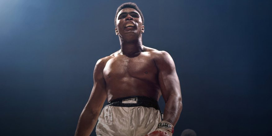 Muhammad Ali Center - Dogstudio